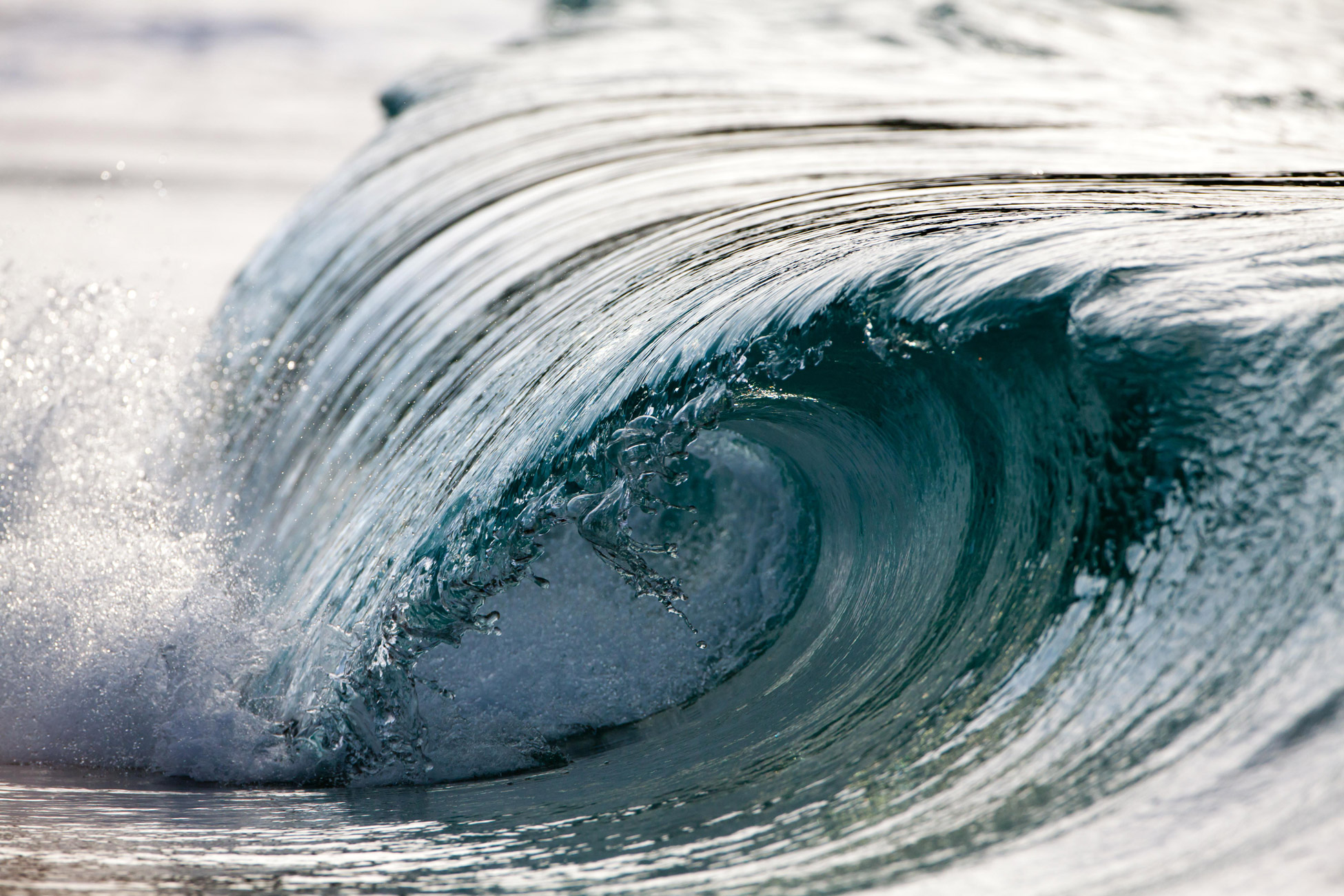 MacroWave - Pierre Carreau